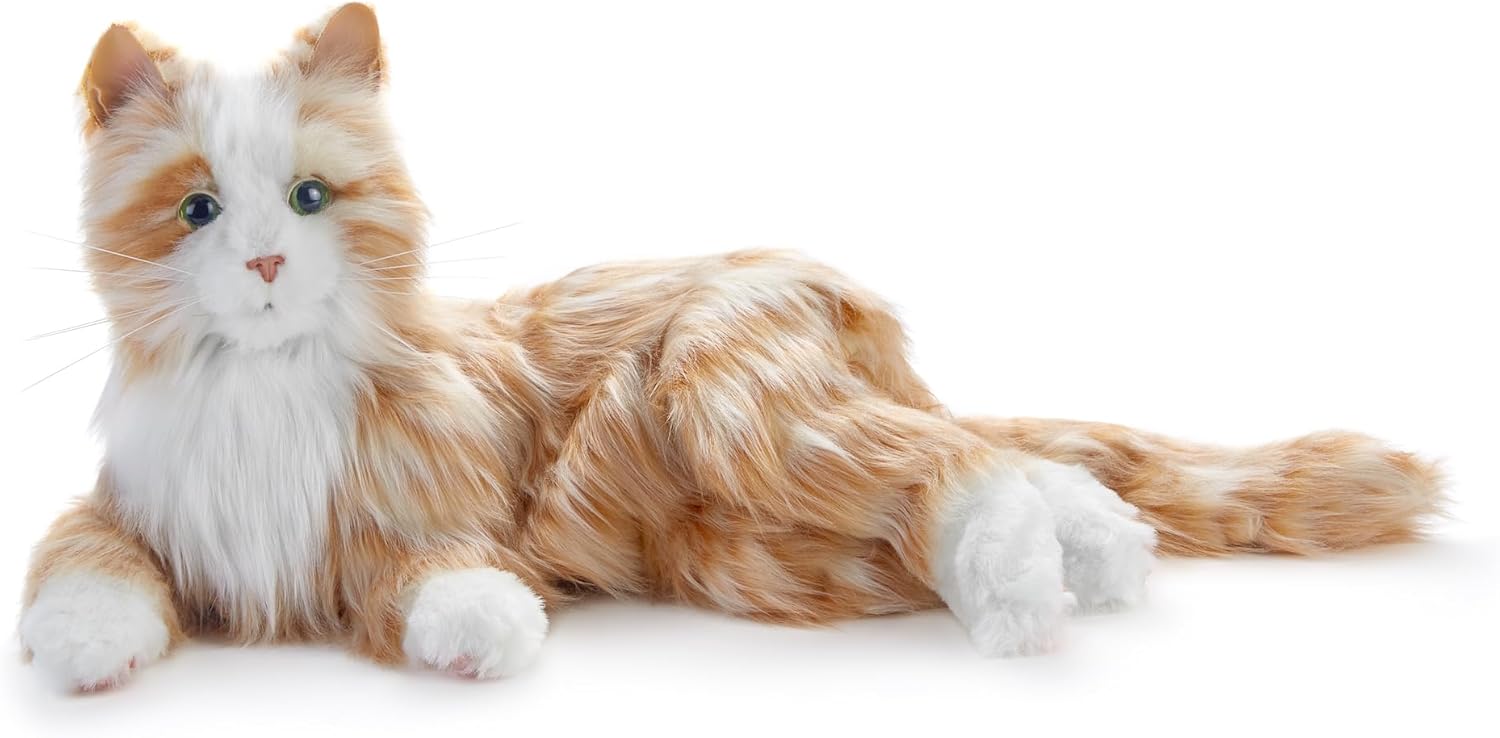 Companion Cats - Caron Cares